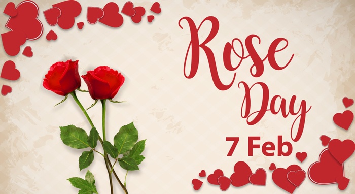 Happy Rose Day 2020: Best Wishes, SMS, WhatsApp Status & FB Messages